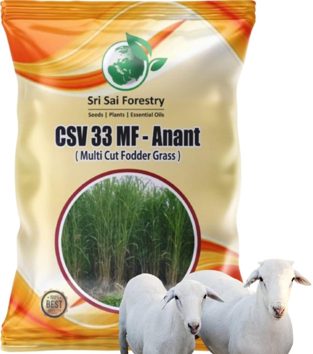 CSV 33 MF Grass Seeds 200G Maize Grass for Animal Fodder – High Yield ...