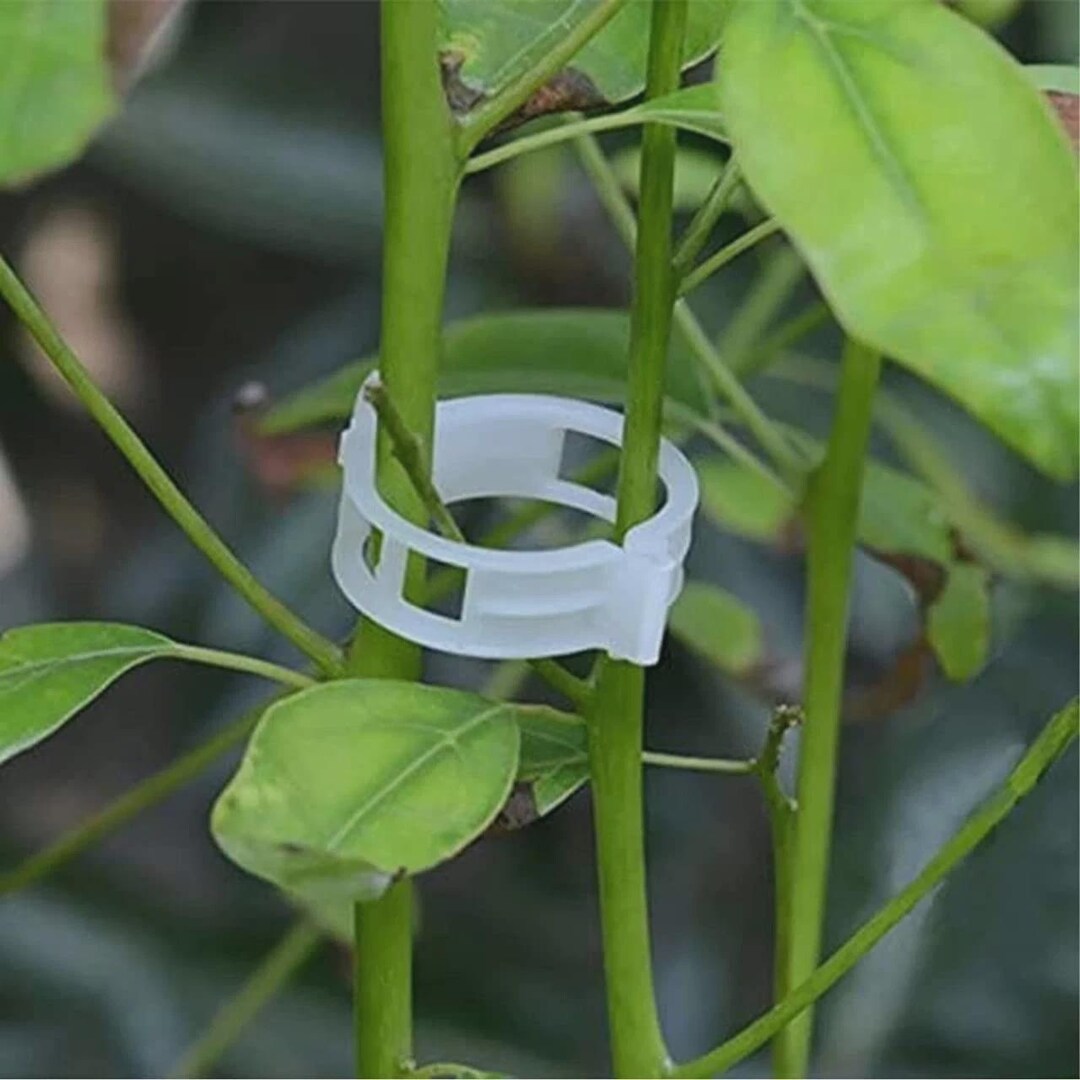 50 Pcs Garden Trellis Clips, Plant Support Clips - Etsy