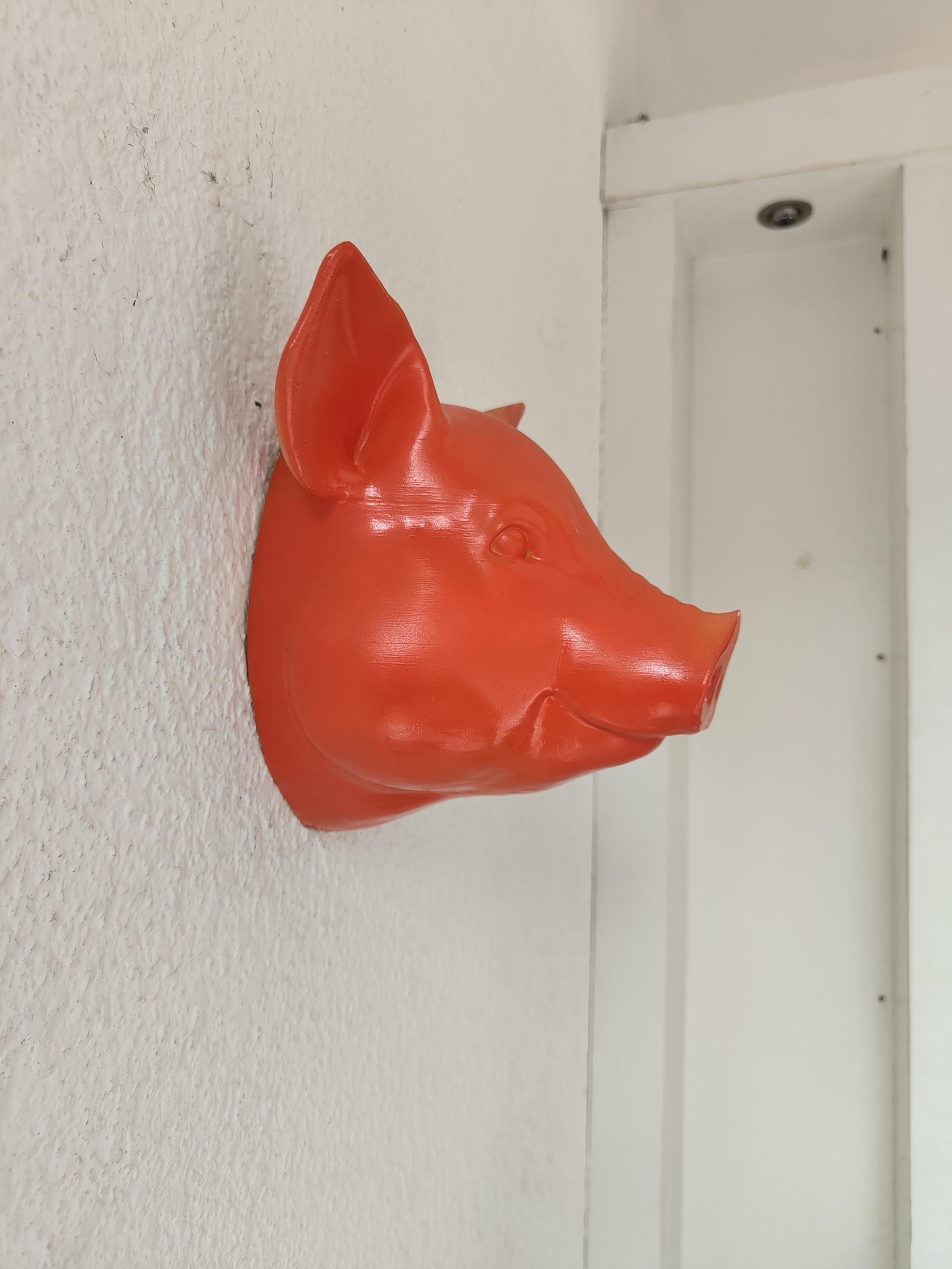 Pig Head Wall Mount 3d Printing Stl File, Farm Pets, Statue, Diorama ...