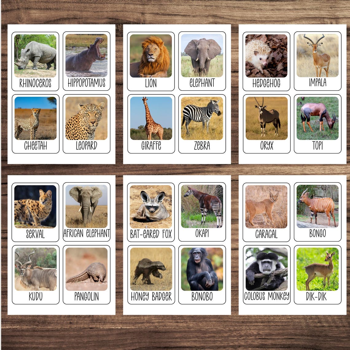 Safari Animal Flashcards: Watercolor African Animals (PDF Printable) - Etsy