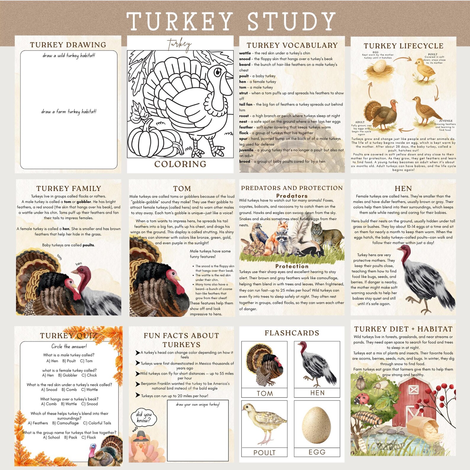 Thanksgiving Unit Study: Pilgrims, Wampanoag, Turkey (PDF) - Etsy