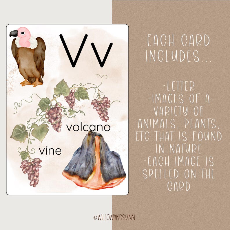 Nature ABC Flashcards: Montessori Homeschool Printable (PDF Download ...