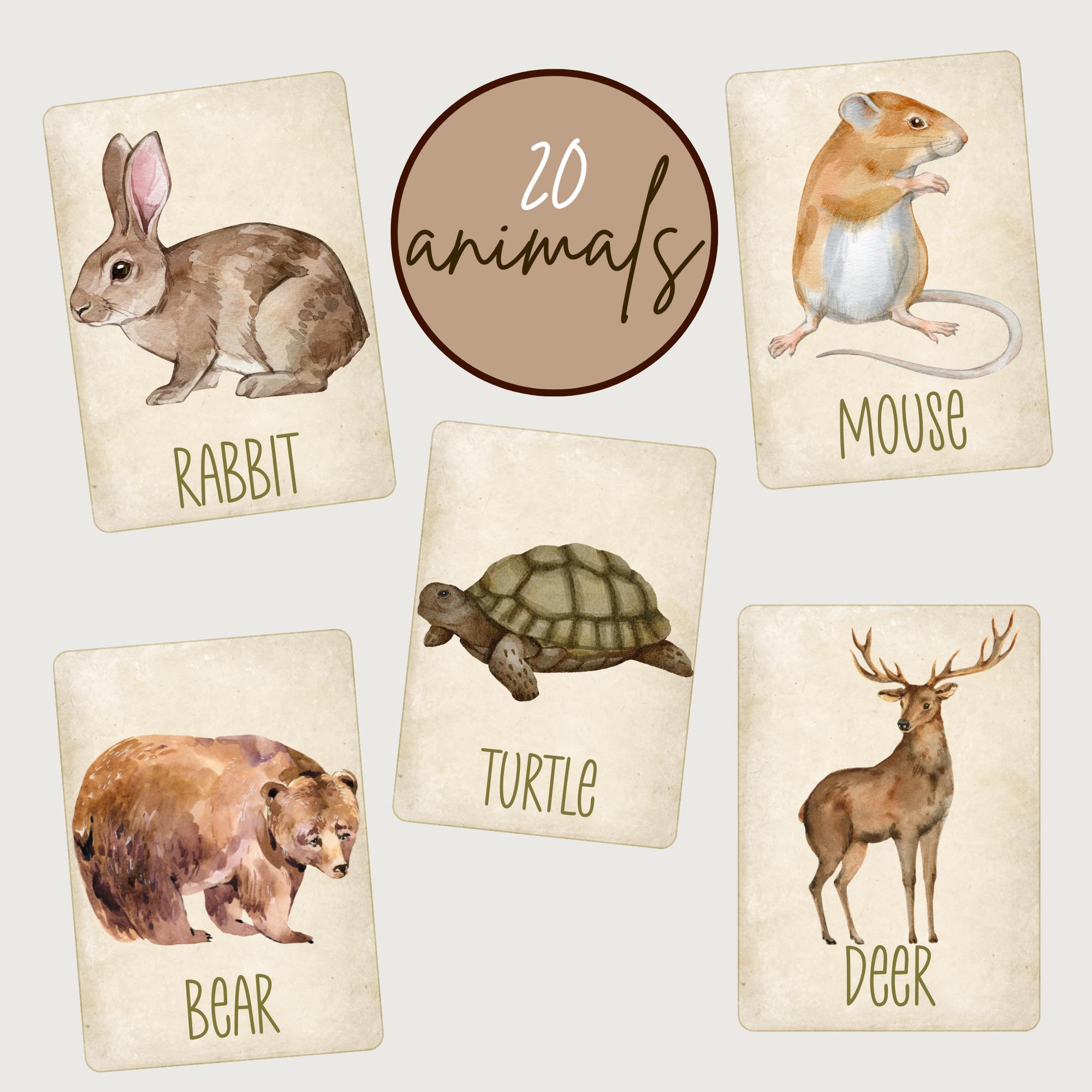 Woodland Animal Flashcards Printable Pack | 20 Nature Inspired Cards ...