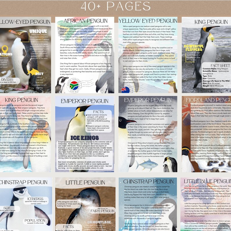Penguin Unit Study: Winter Arctic Animal Study Pack (printable PDF) - Etsy