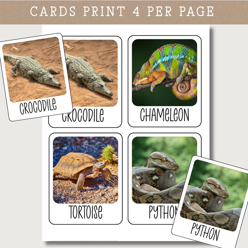 Safari Animal Flashcards: Watercolor African Animals (PDF Printable) - Etsy