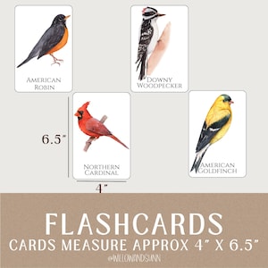 Backyard Bird Flashcards Printable Pack | 21 Watercolor Cards for Kids ...