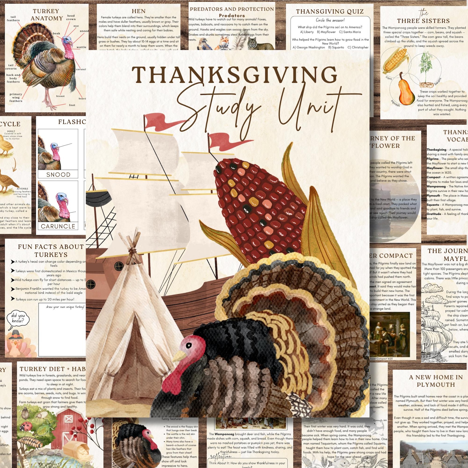 Thanksgiving Unit Study: Pilgrims, Wampanoag, Turkey (PDF) - Etsy