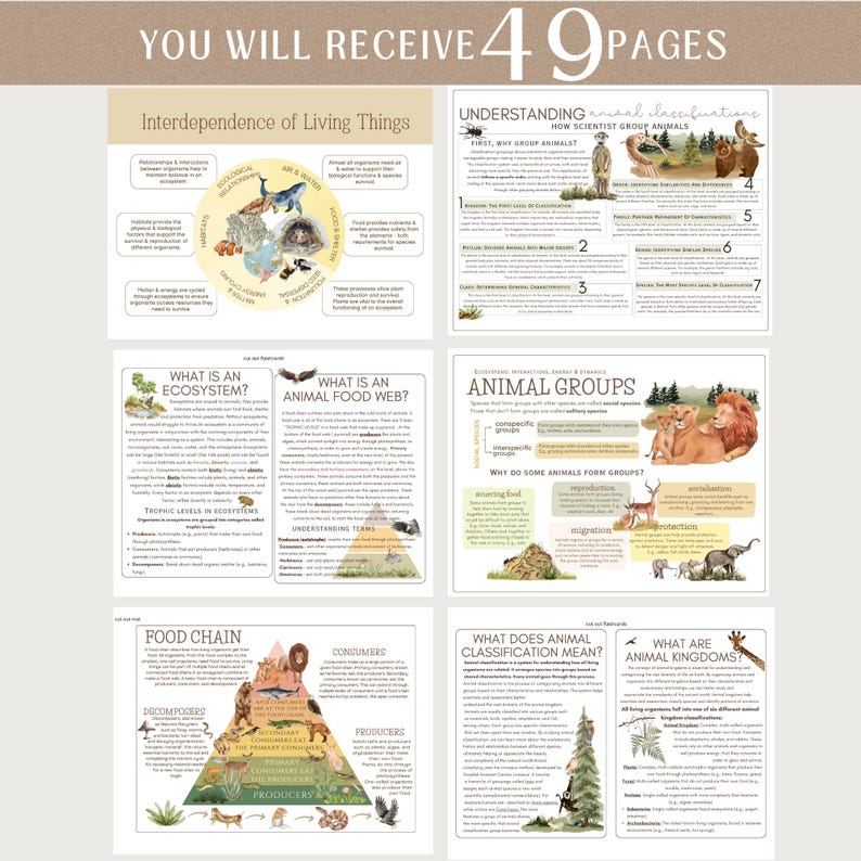 Animal Classification Worksheets: Montessori Science, Biology Learning ...