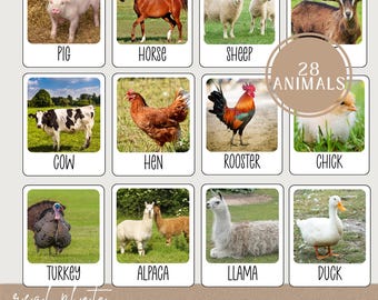 32 Farm Animals Flashcards | Montessori 3-part Cards | Real Pictures ...