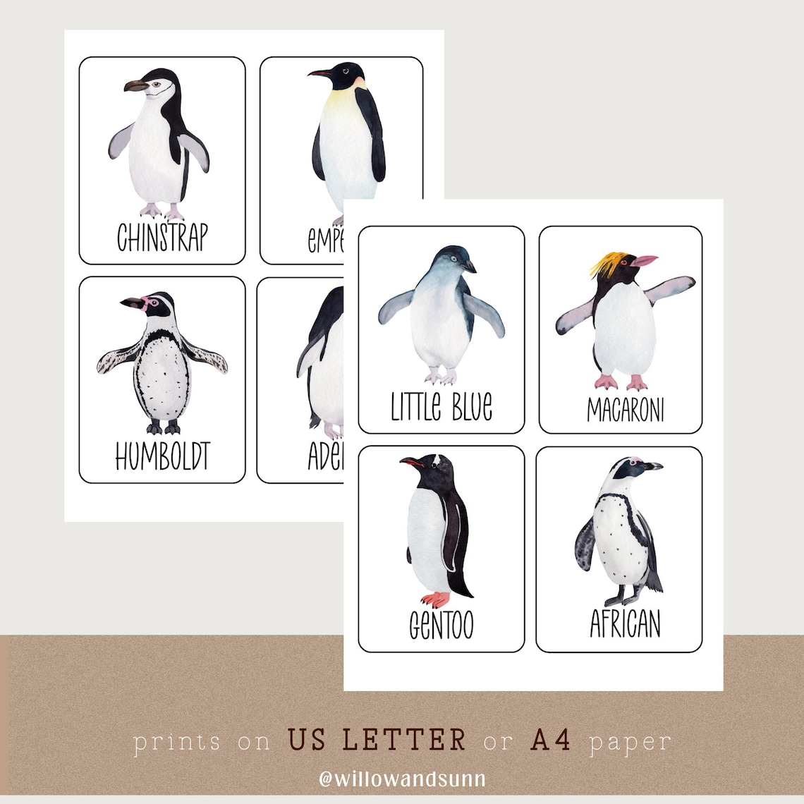Montessori Preschool Penguin Flashcards | Winter Arctic Animals ...