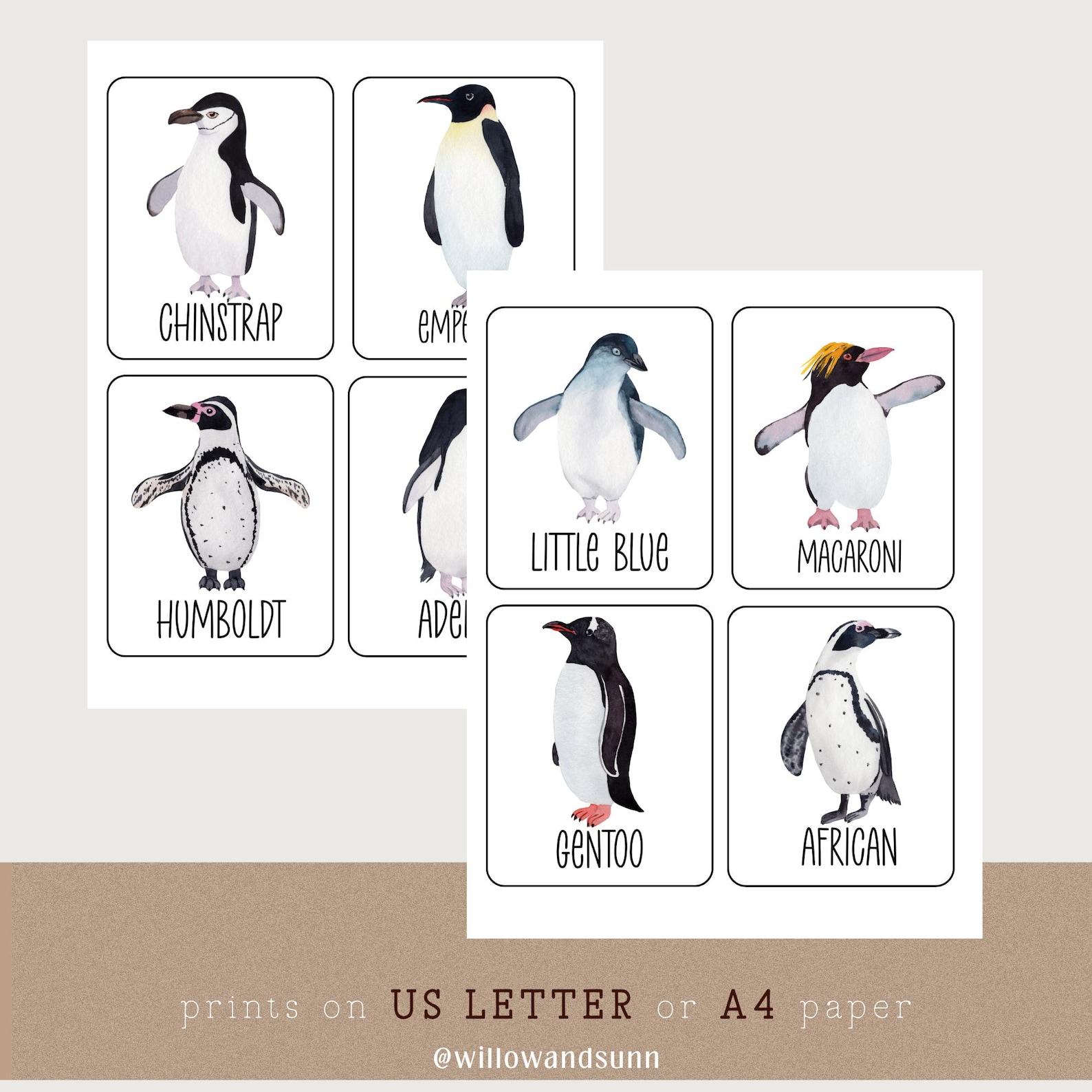 Montessori Preschool Penguin Flashcards | Winter Arctic Animals ...