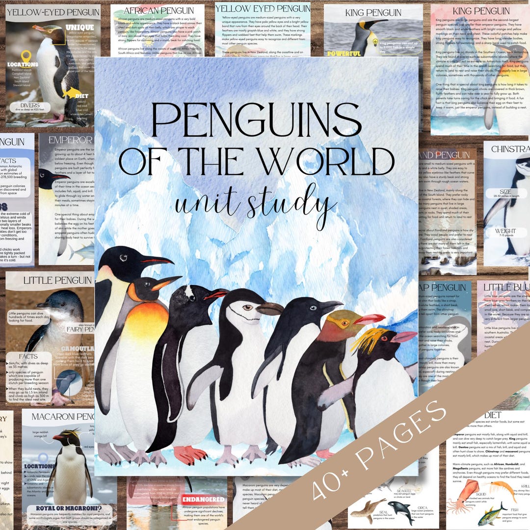 Penguin Unit Study: Winter Arctic Animal Study Pack (printable PDF) - Etsy