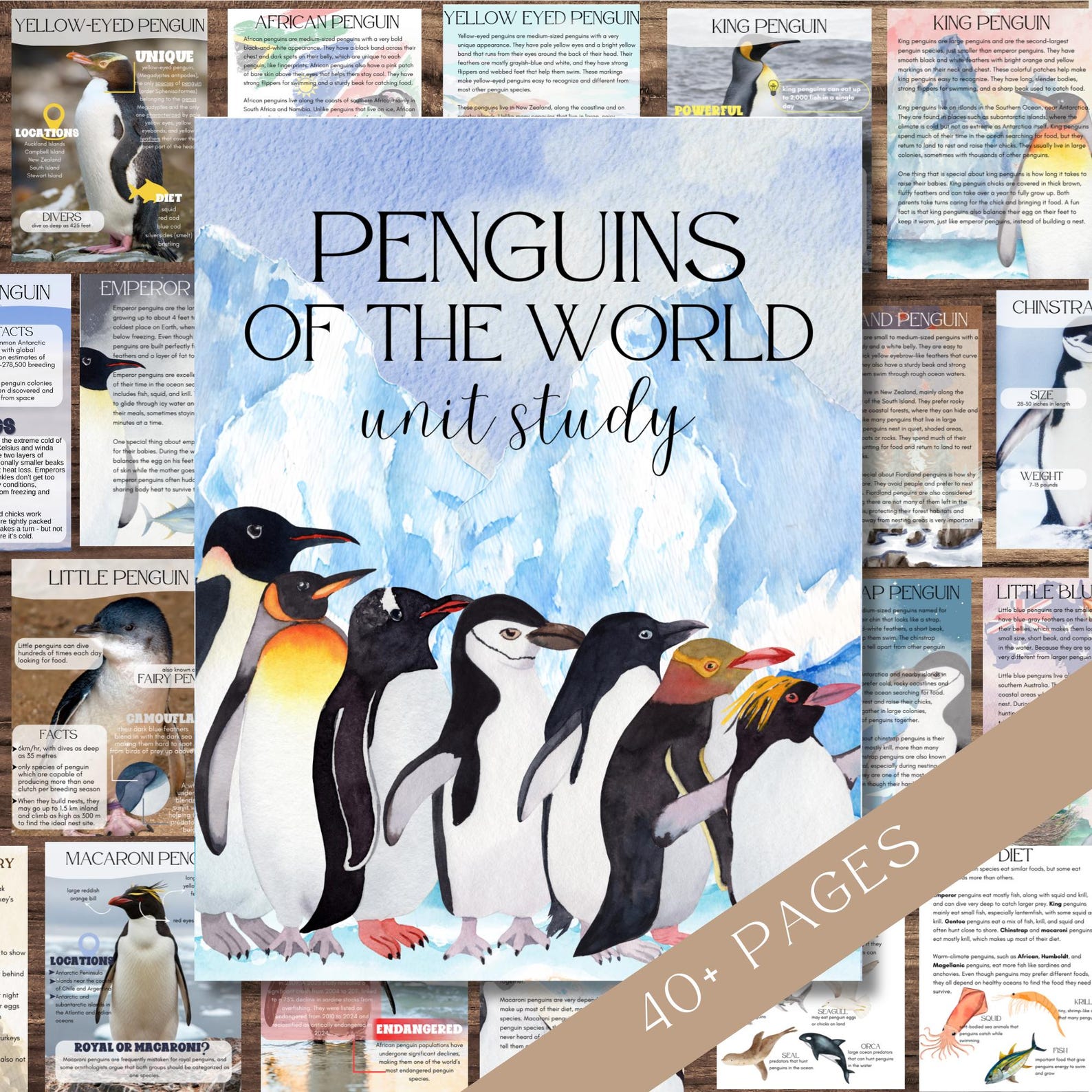 Penguin Unit Study: Winter Arctic Animal Study Pack (printable PDF) - Etsy