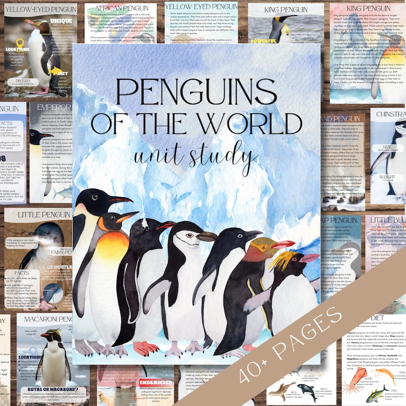 Penguin Unit Study: Winter Arctic Animal Study Pack (printable PDF) - Etsy