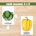 Vegetable Flashcards: Kids' Learning Cards, Montessori Style (digital ...