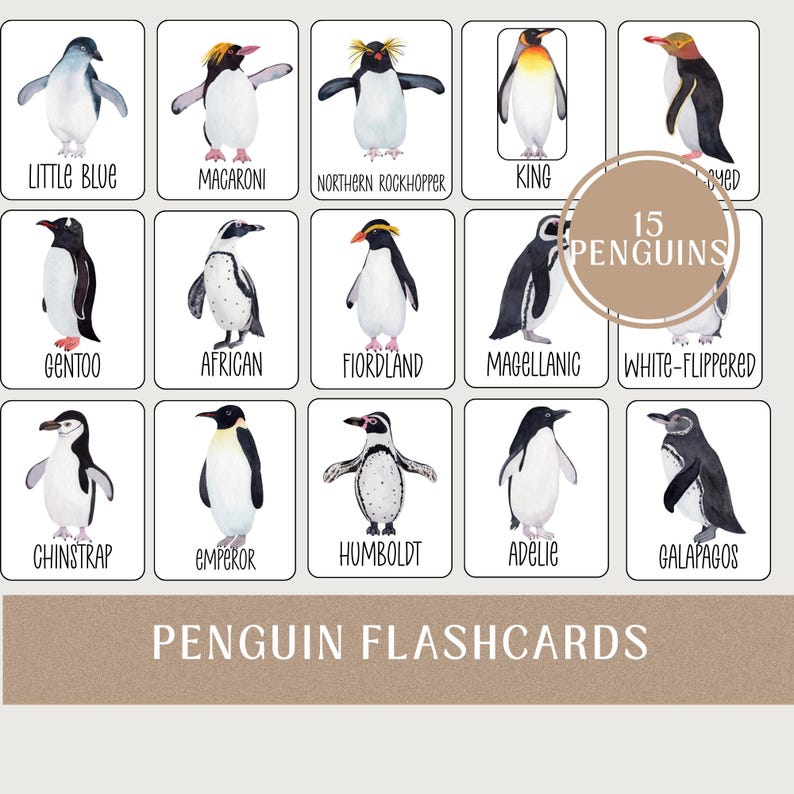 Montessori Preschool Penguin Flashcards | Winter Arctic Animals ...