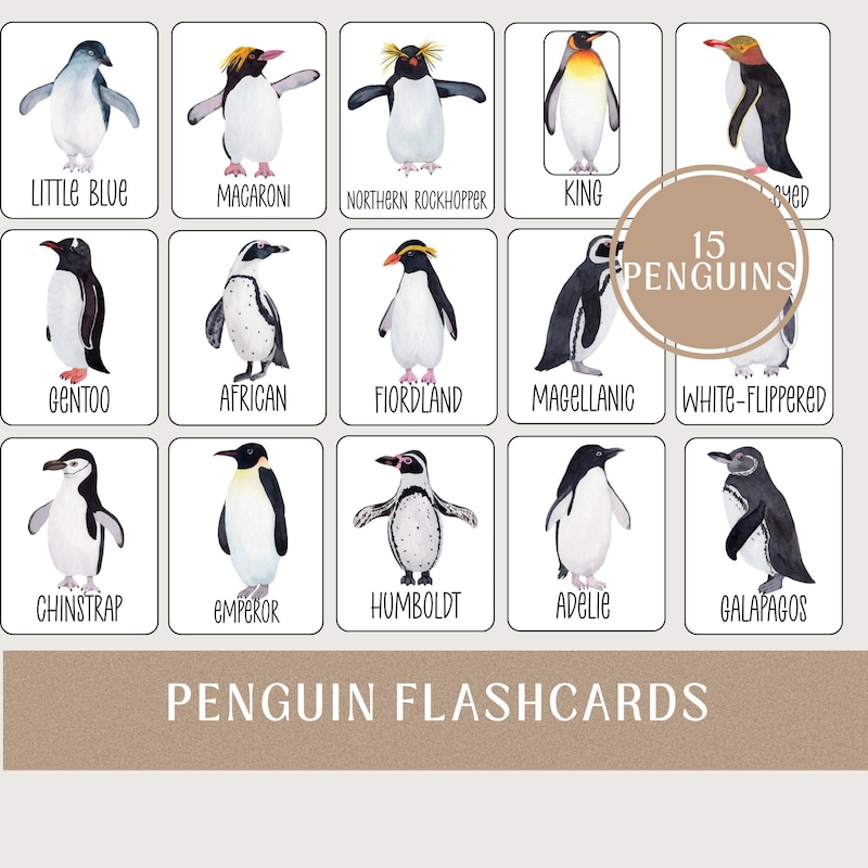 Penguin Card - Etsy