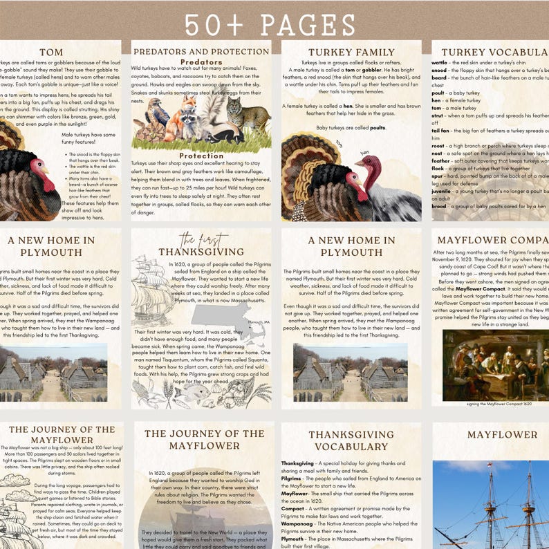 Thanksgiving Unit Study: Pilgrims, Wampanoag, Turkey (PDF) - Etsy