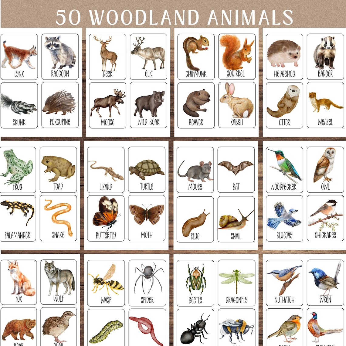 Woodland Animals Flashcards | Nature-themed Learning (PDF) - Etsy