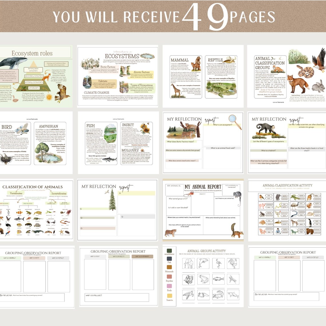 Animal Classification Worksheets: Montessori Science, Biology Learning ...