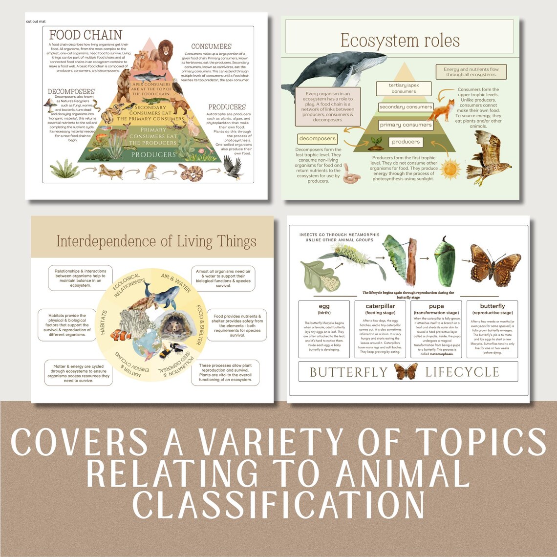 Animal Classification Worksheets: Montessori Science, Biology Learning ...