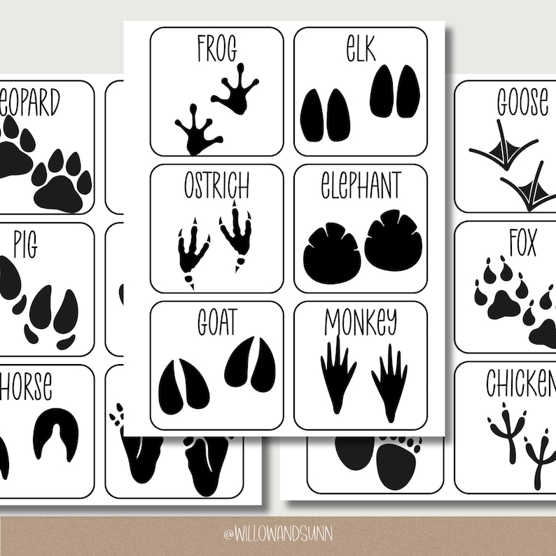 Animal Tracks Flashcards: Nature Unit Study, Montessori Homeschool (PDF ...