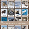 Arctic Animals Flashcards, Arctic Animals 3 Part Cards, Montessori ...