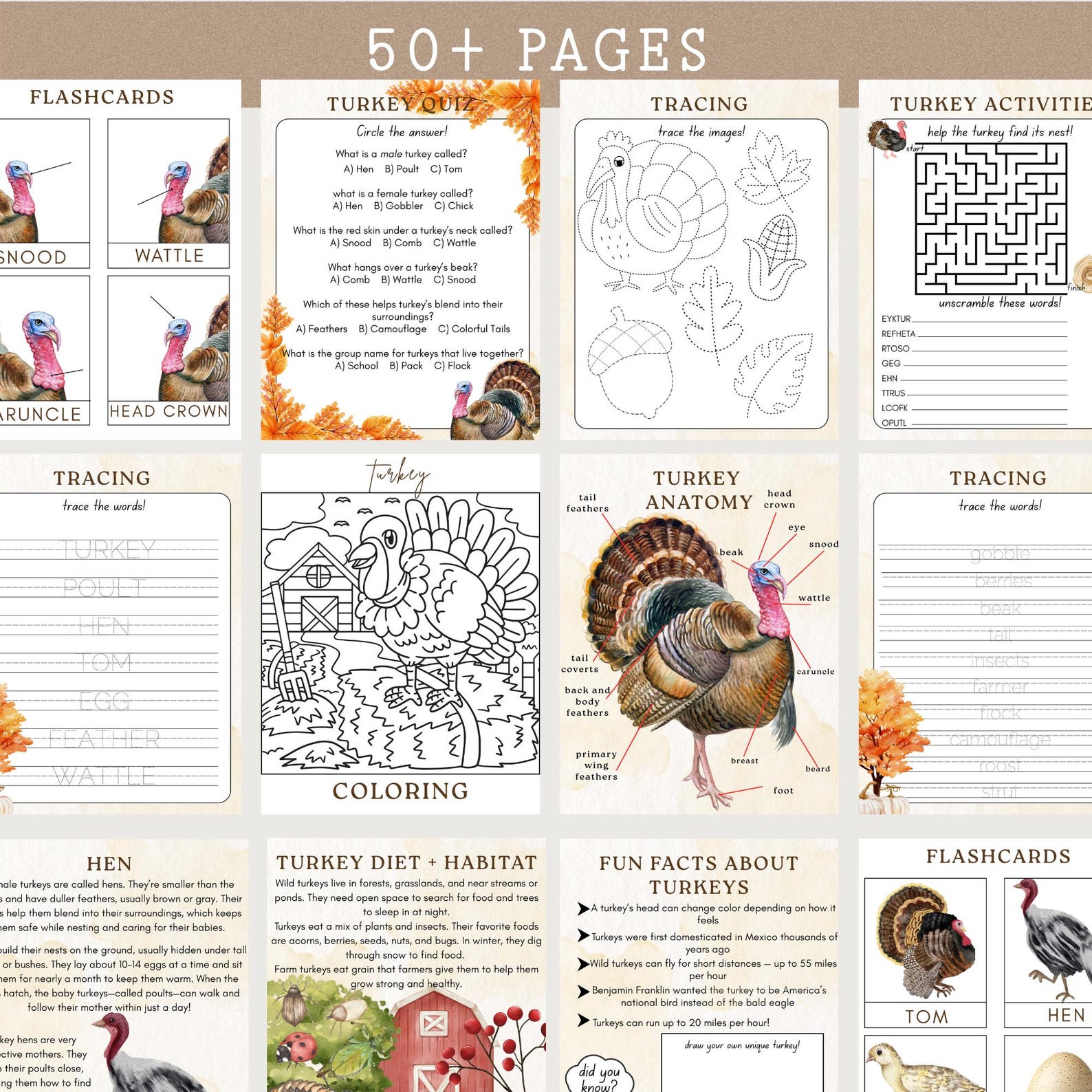 Thanksgiving Unit Study: Pilgrims, Wampanoag, Turkey (PDF) - Etsy
