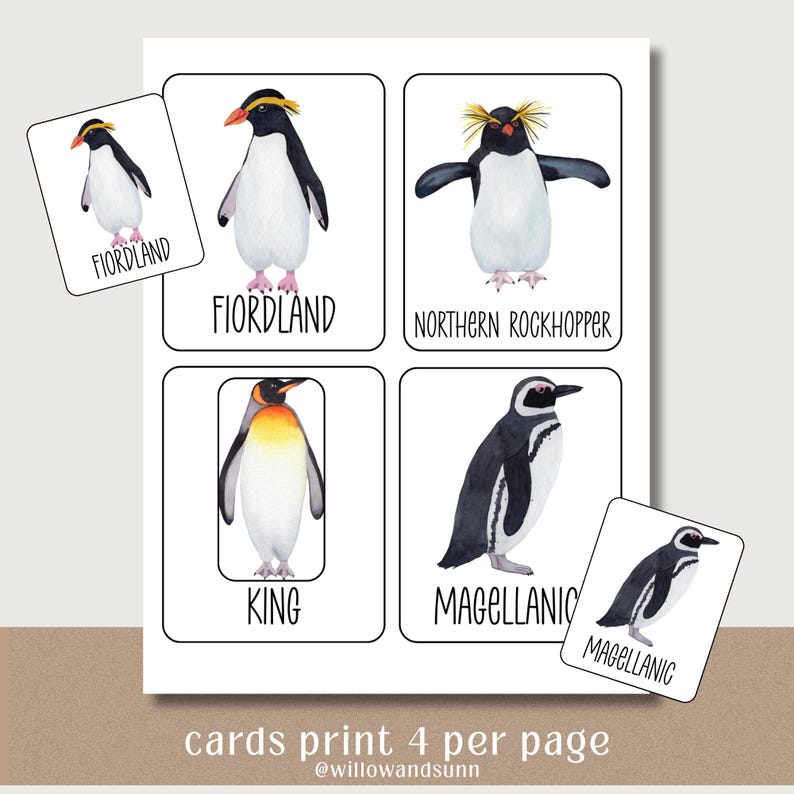 Montessori Preschool Penguin Flashcards | Winter Arctic Animals ...