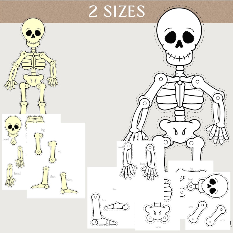 Halloween Preschool Skeleton Craft | Halloween Classroom Activity ...