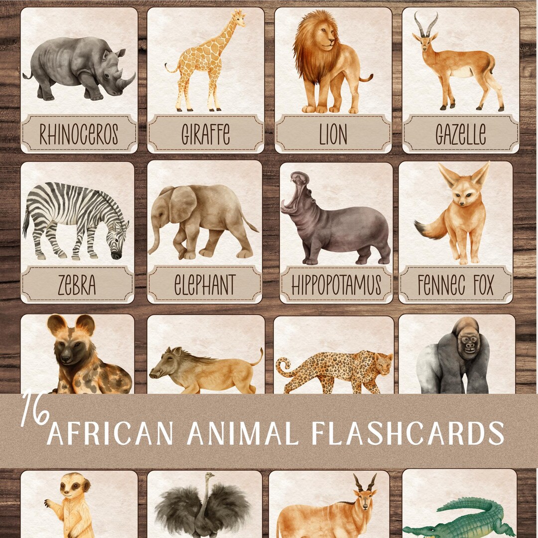 Safari Animals Flashcards for Kids: 16 Montessori Watercolor African ...