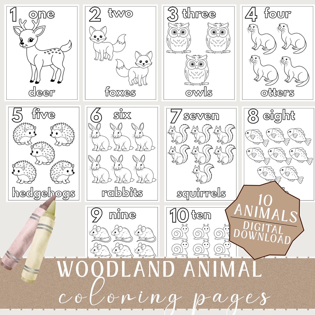 Woodland Animal Coloring Pages for Kids: Autumn Nature Activity (PDF ...