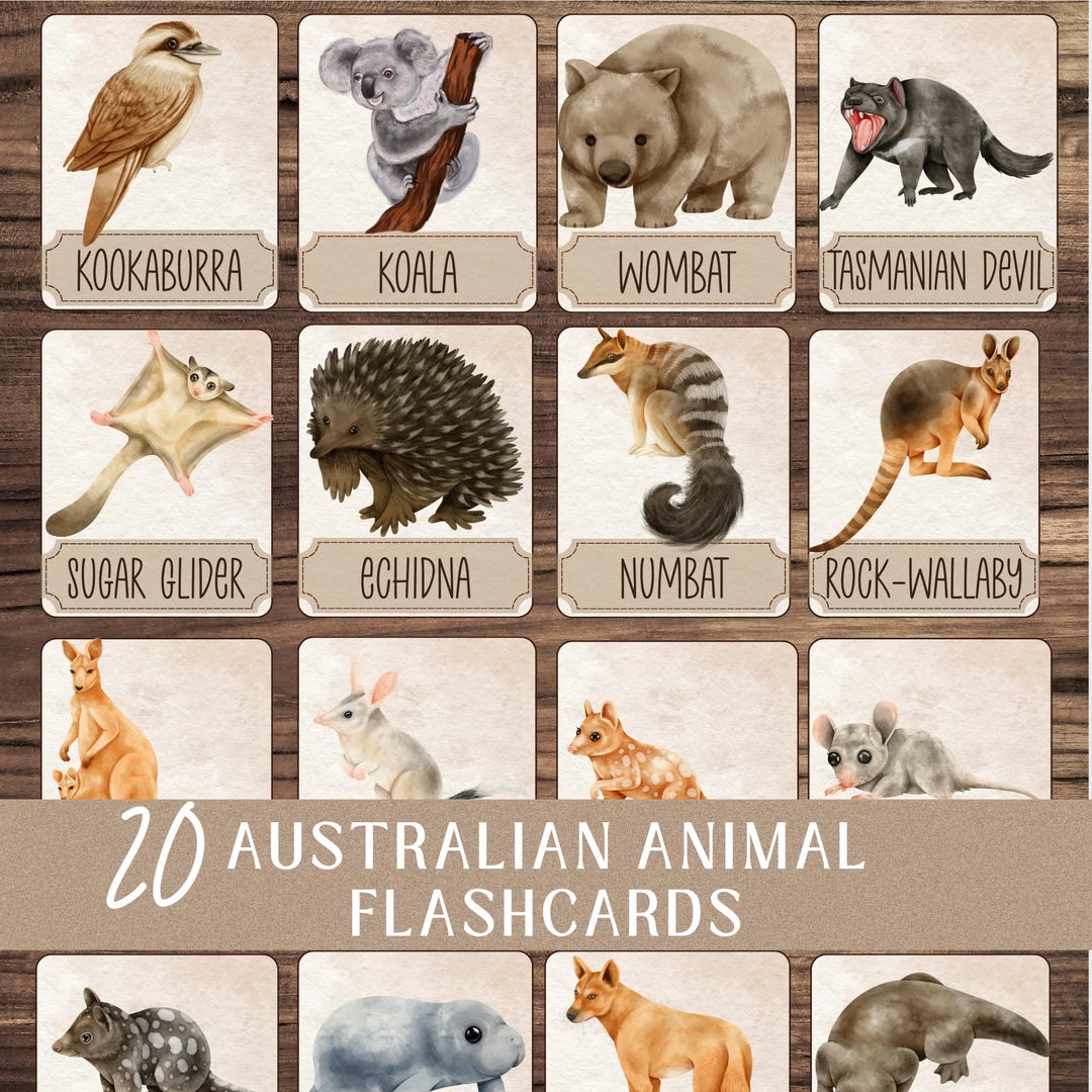 Australian Animals Flashcards: Montessori Watercolor Learning (PDF ...