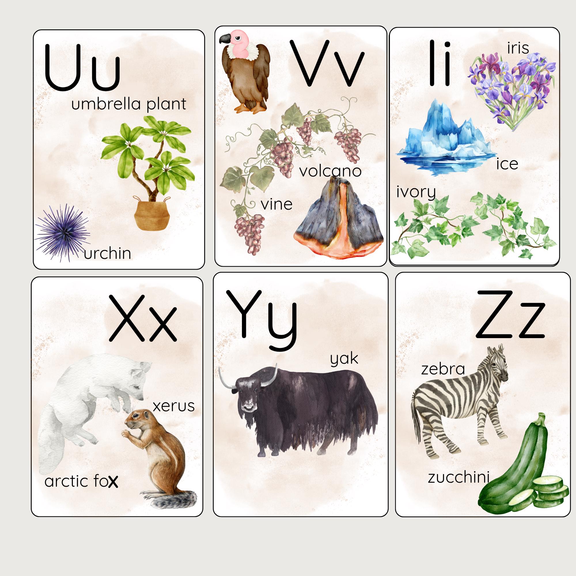Nature ABC Flashcards: Montessori Homeschool Printable (PDF Download ...