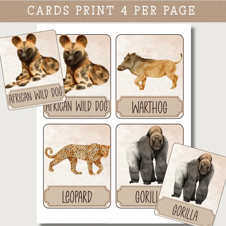 Safari Animals Flashcards for Kids: 16 Montessori Watercolor African ...