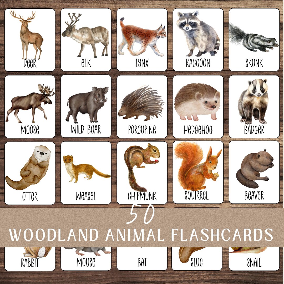 Woodland Animals Flashcards | Nature-themed Learning (PDF) - Etsy