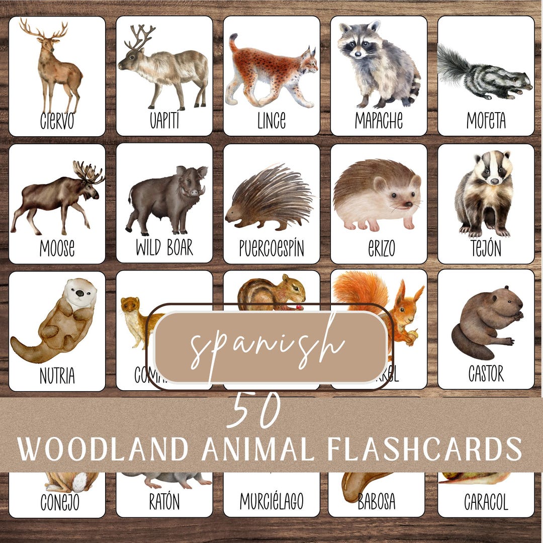 Spanish Animal Flashcards | Bilingual Woodland Animals (PDF Download ...