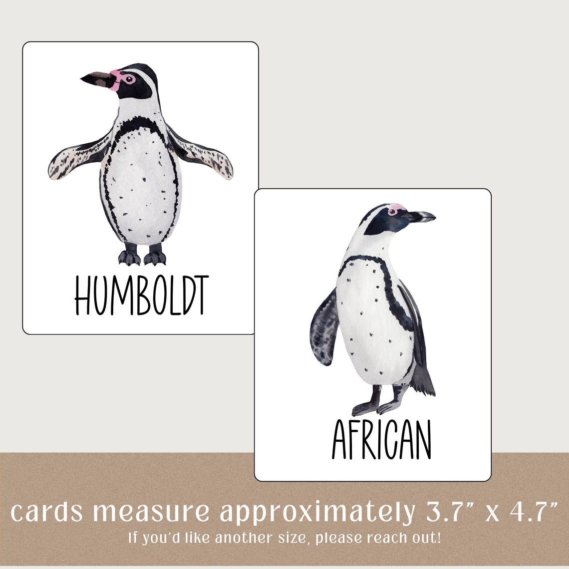 Montessori Preschool Penguin Flashcards | Winter Arctic Animals ...