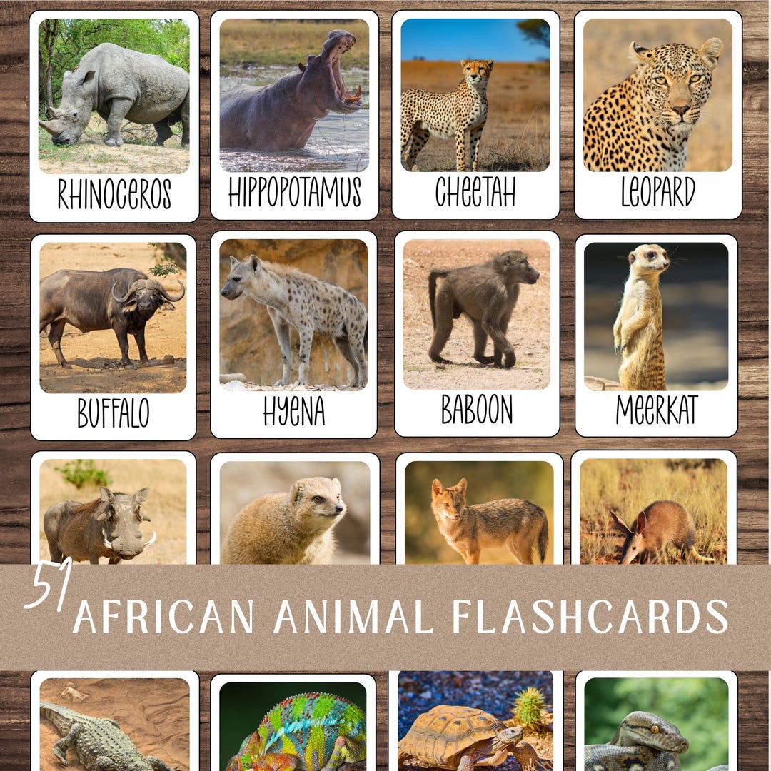 Safari Animal Flashcards: Watercolor African Animals (PDF Printable) - Etsy