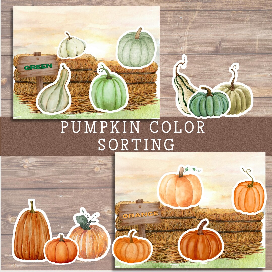 Pumpkin Color Sorting Game: Autumn Preschool Printable Activity ...