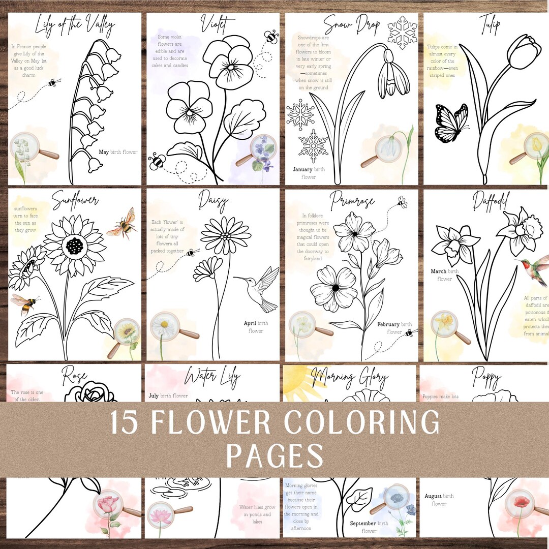 Montessori Flower Coloring Pages for Kids - Birth Month Flower Activity ...