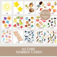 Number Posters Signs 0-20 Ten Frames Woodland Animals Forest Theme ...