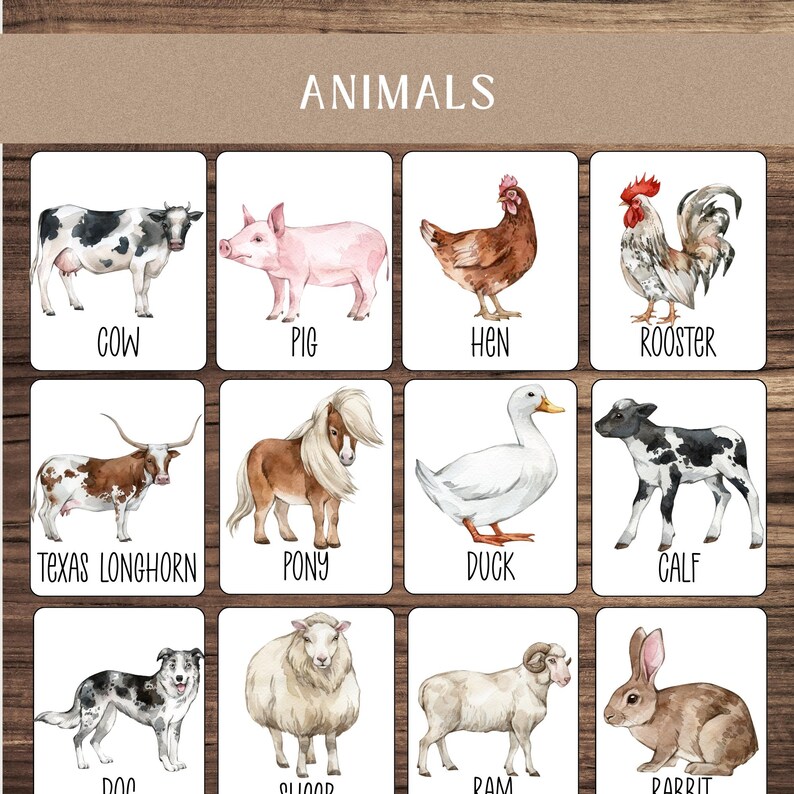Montessori Farm Flashcards | 59 Farm Cards for Preschool | Fruits ...