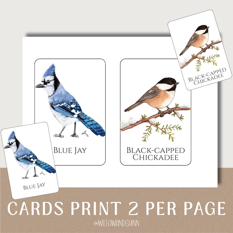 Backyard Bird Flashcards Printable Pack | 21 Watercolor Cards for Kids ...