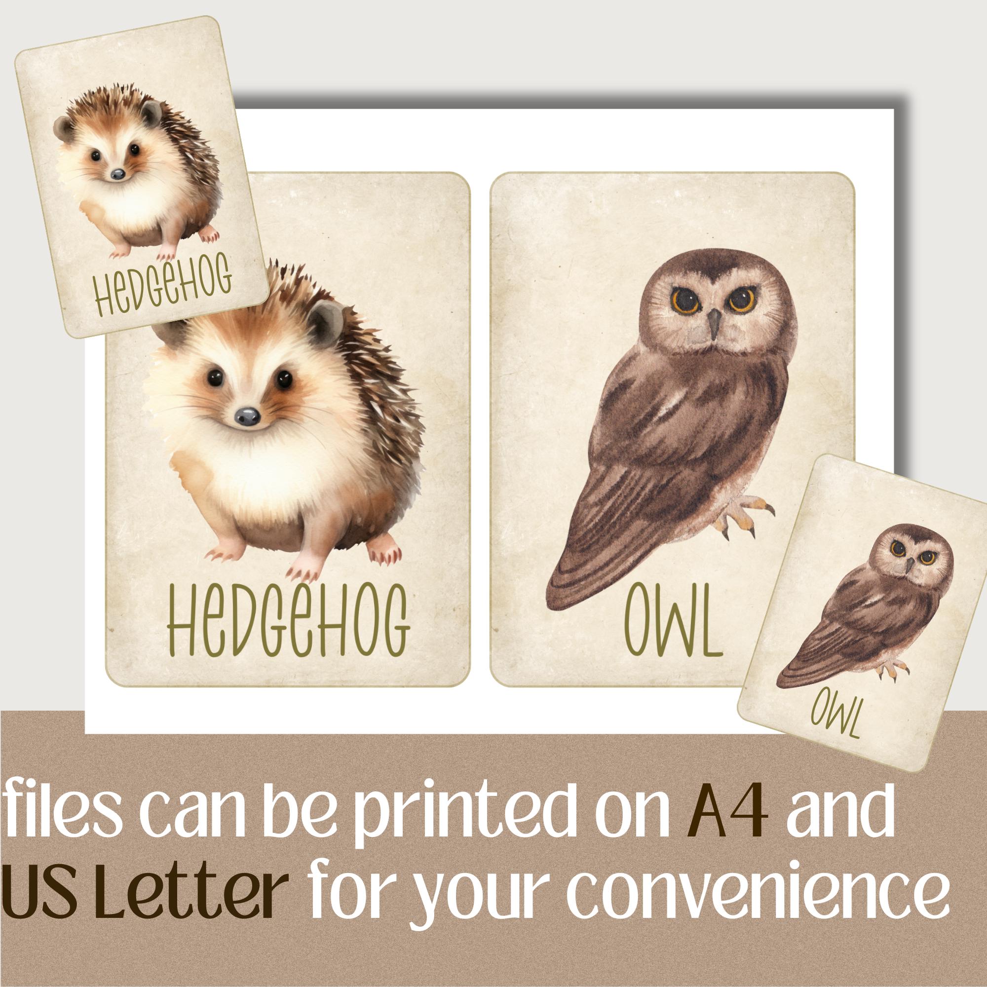 Woodland Animal Flashcards Printable Pack | 20 Nature Inspired Cards ...
