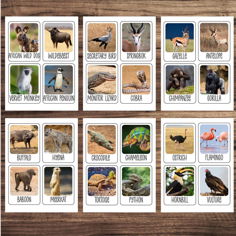 Safari Animal Flashcards: Watercolor African Animals (PDF Printable) - Etsy