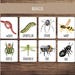 Woodland Animals Flashcards | Nature-themed Learning (PDF) - Etsy
