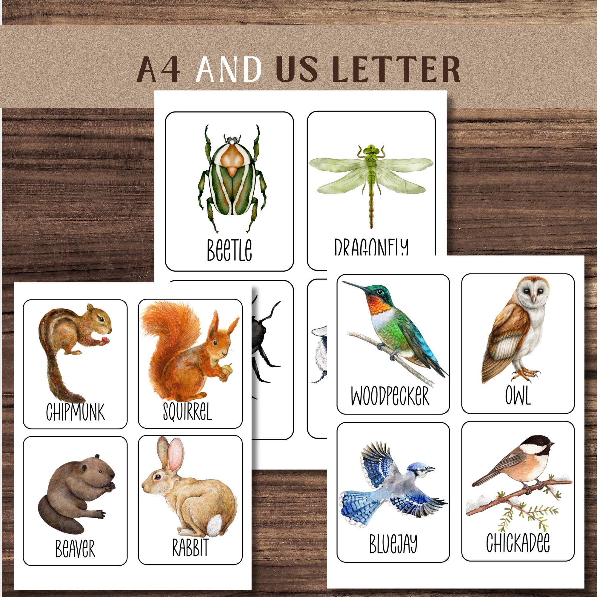 Woodland Animals Flashcards | Nature-themed Learning (PDF) - Etsy