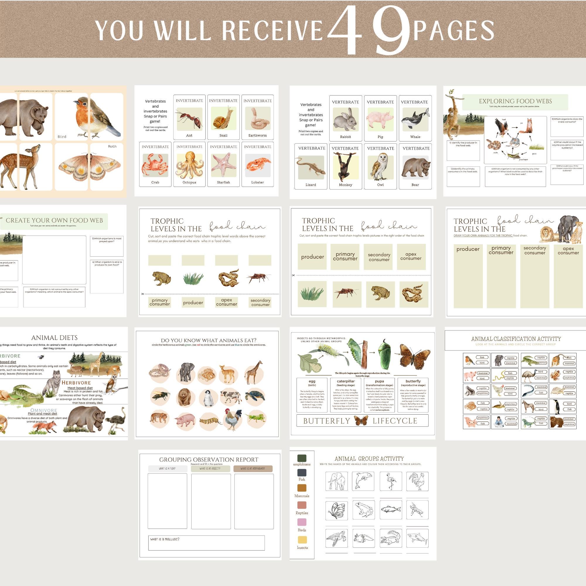 Animal Classification Worksheets: Montessori Science, Biology Learning ...