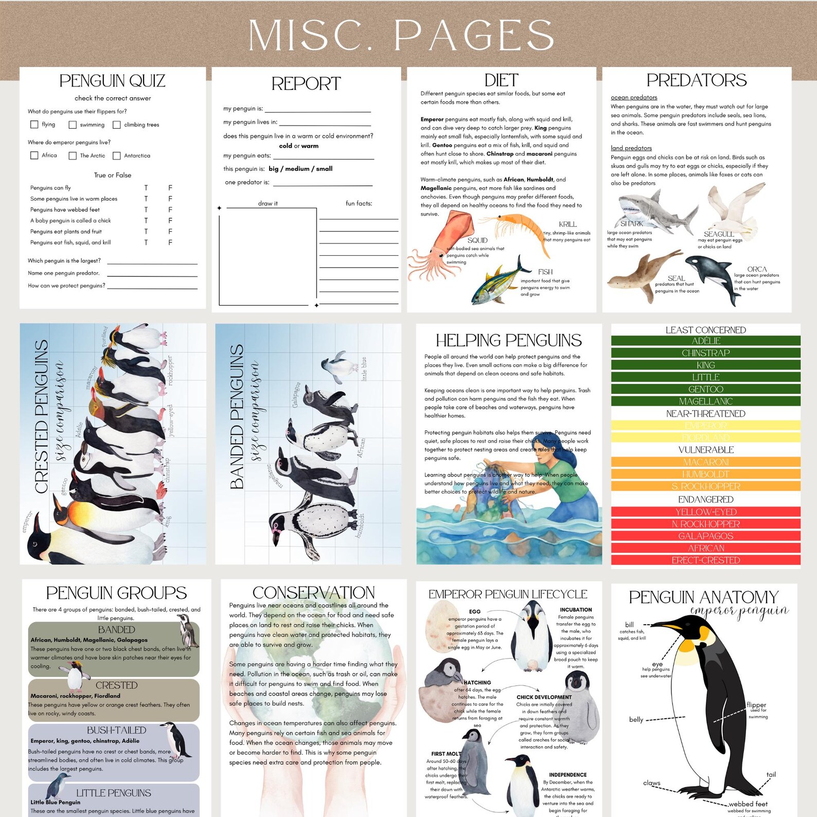 Penguin Unit Study: Winter Arctic Animal Study Pack (printable PDF) - Etsy